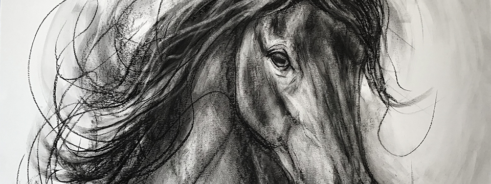 Janet Ferraro | The Art of Janet Ferraro