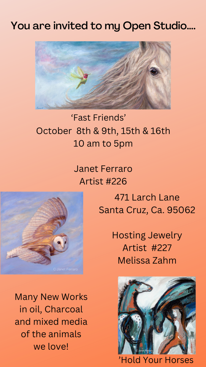 Janet Ferraro | The Art of Janet Ferraro